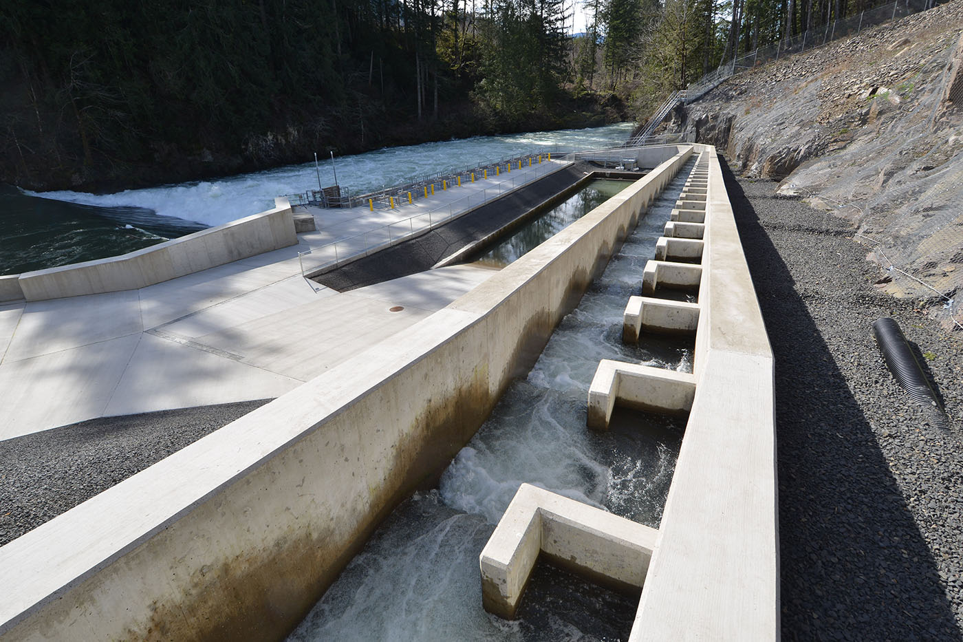 Projects: Dams / Fisheries / Hydro – Slayden